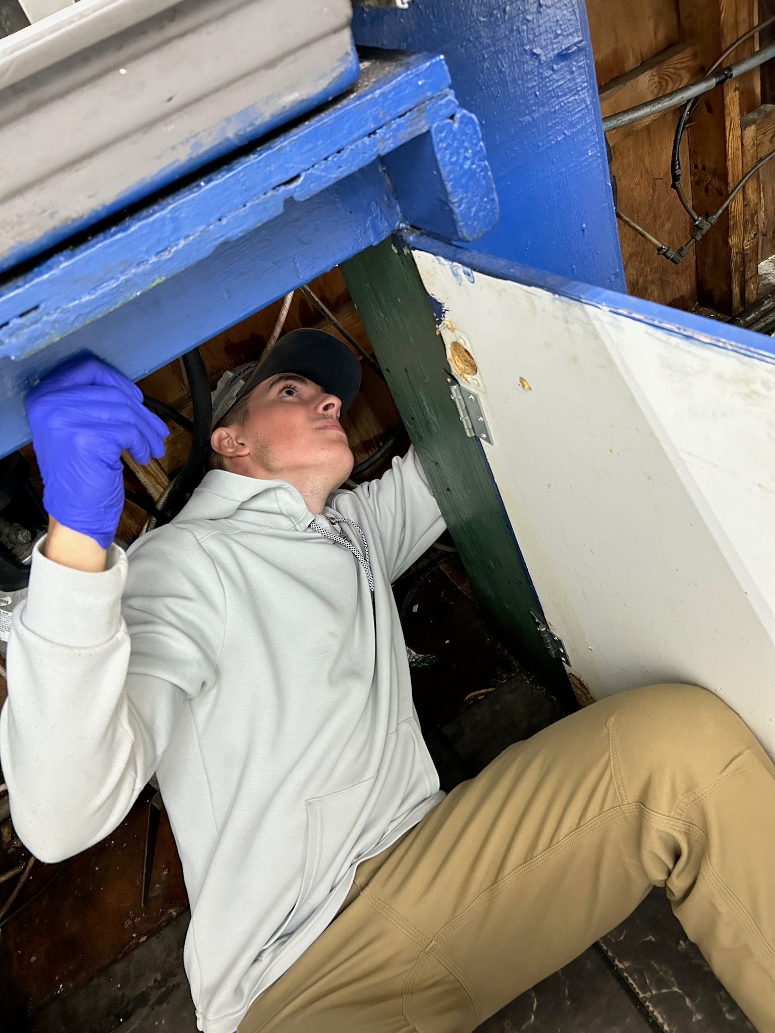 Help Me Pinpoint - Pinpoint Pest Management